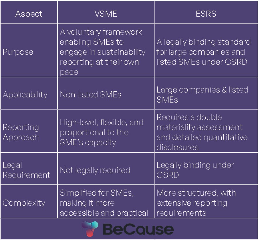 The Future of Sustainability Reporting: How VSME and ESRS Are Shaping the Landscape